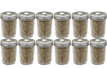 How to Use BRF Mushroom Substrate Jars 12-Pack | Mushroom Cultivation