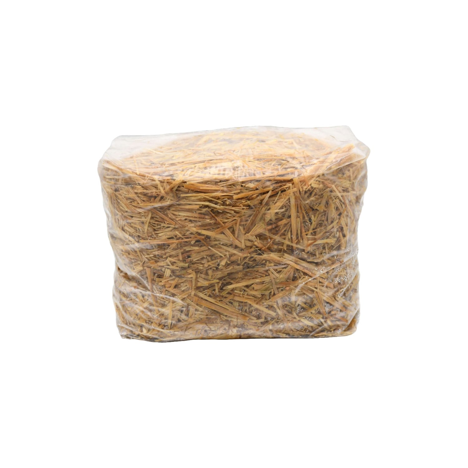 How to Use Pasteurized Straw Mushroom Substrate Bag - 5lb | Guide