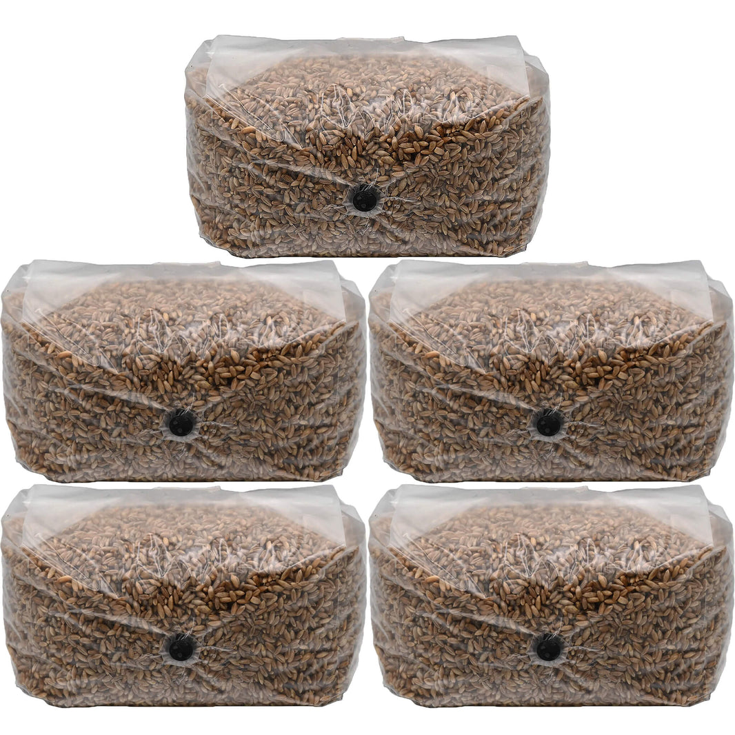 Bulk Substrates | High Quality Mushroom Substrates