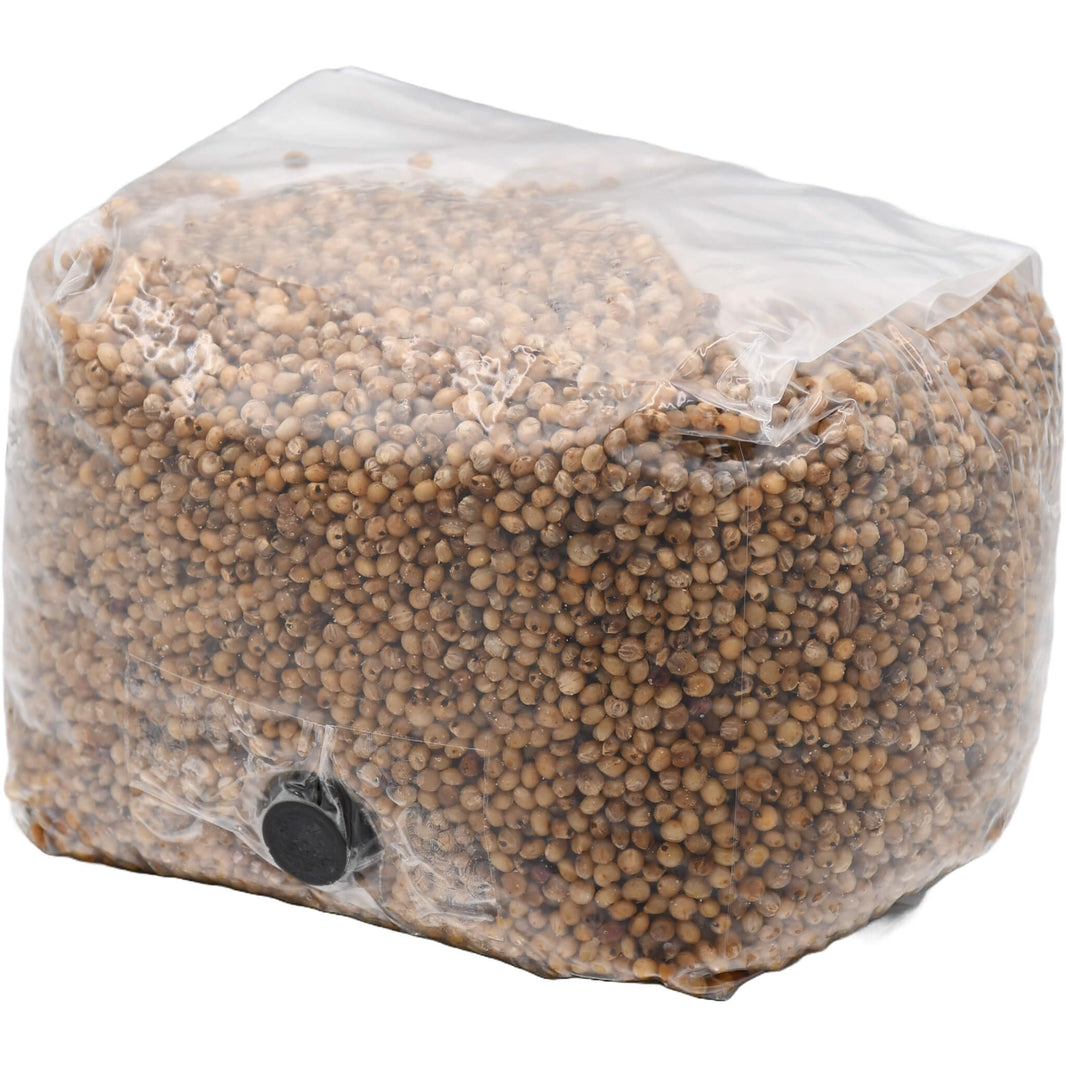 Grain Bags | Ready For Inoculation – Mushroom Substrate