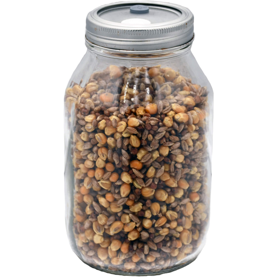Grain Jars | Ready for Inoculation – Mushroom Substrate