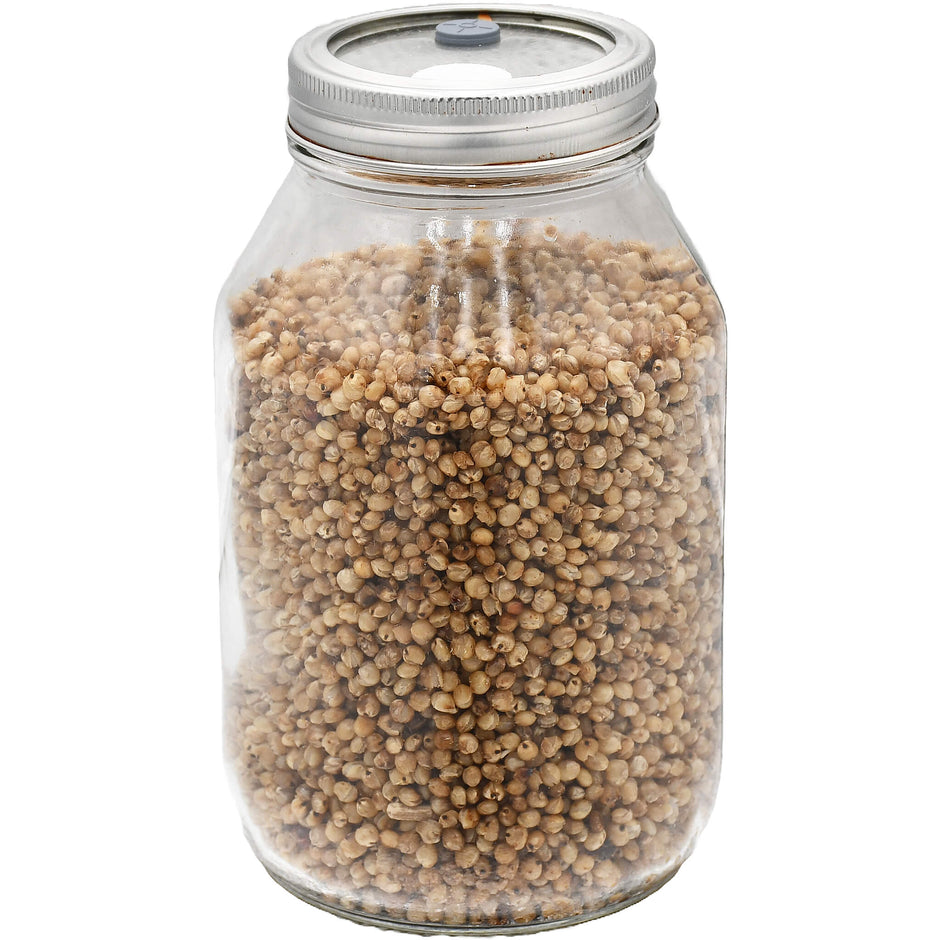 Grain Jars | Ready for Inoculation – Mushroom Substrate